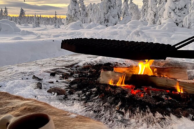Private Snowmobile Day Tours - Schedule and Availability