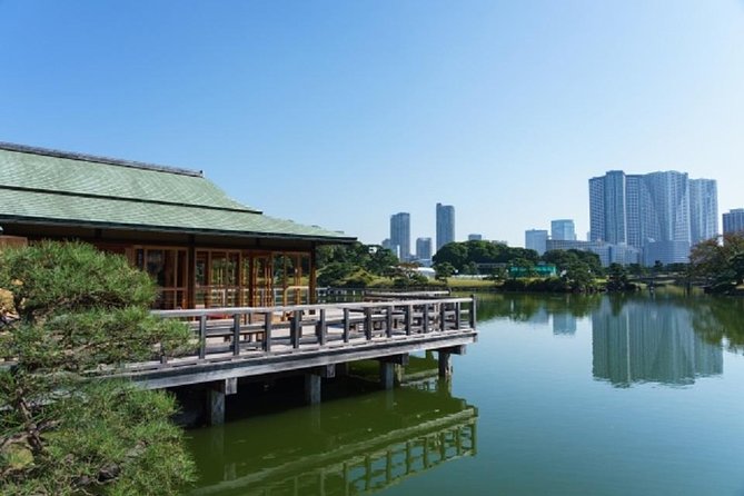 Private Tokyo Custom Walking Tour With a Water Bus Ride - Guide Experiences and Feedback