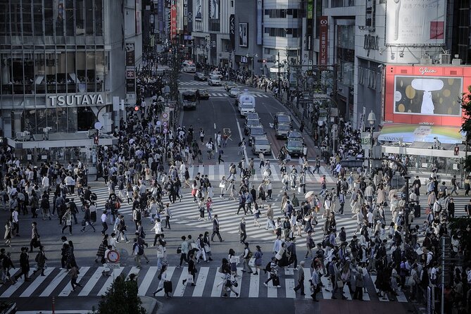 Private Tokyo Tour - up to 9 Travelers - Reviews and Ratings