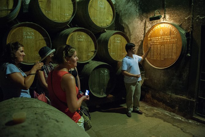 Private Tour: Arrábida Day Trip From Lisbon Including Wine Tasting - Visiting the Moorish Tower in Palmela