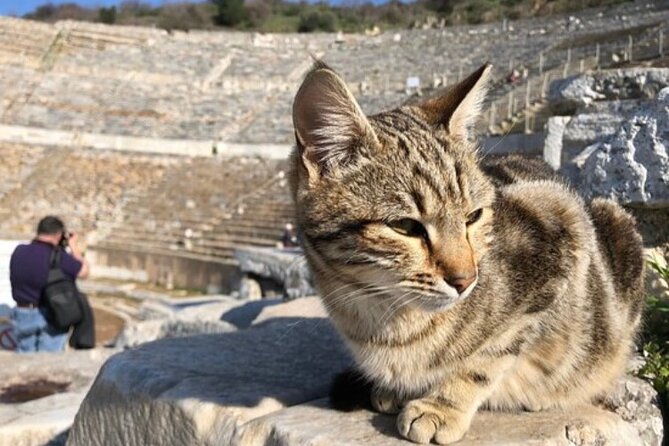 Private Tour : Biblical Ephesus Tour for Cruisers From Kusadasi ( Ephesus ) Port - Insights From Traveler Reviews and Experiences