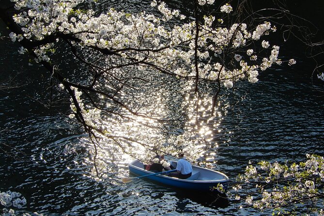 Private Tour - History, Art and Nature at the Imperial Palace - Customer Reviews and Feedback