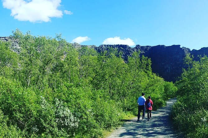 Private Tour in Northern Iceland From Akureyri - Tour Accessibility and Requirements