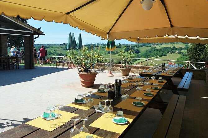 Private Tour in San Gimignano and Chianti Day Trip From Florence - Tour Accessibility and Participation Guidelines