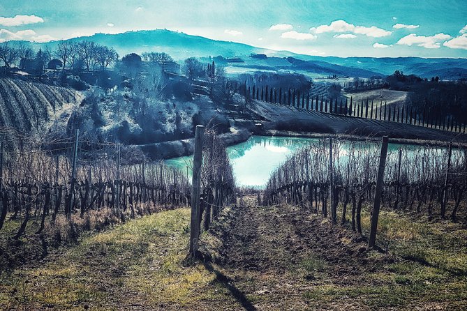 Private Tour: Montalcino Wine Tasting Experience - Pricing and Cancellation Policy