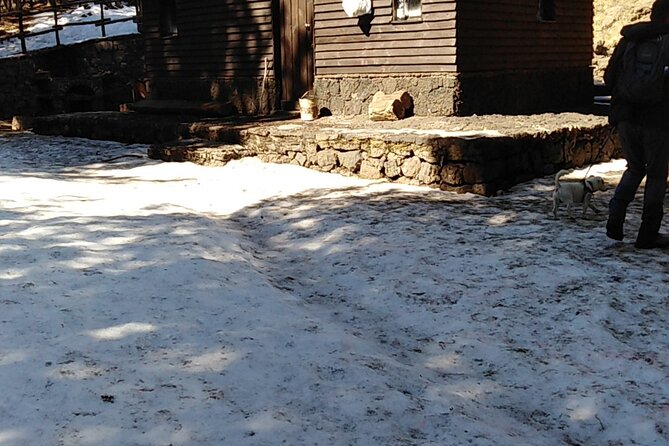 Private Tour of Mount Etna and the Alcantara Gorges - Accessibility and Participation