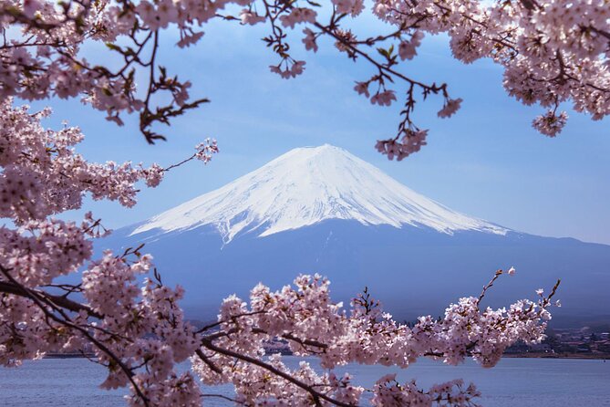 Private Tour of Mount Fuji With Kawaguchi Lake and Oshino Hakkai - Accessibility and Participation