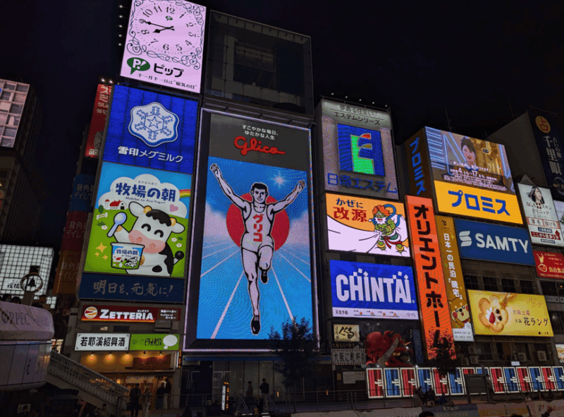 Private Tour of Osaka With A Spanish-Speaking Guide - Important Guidelines