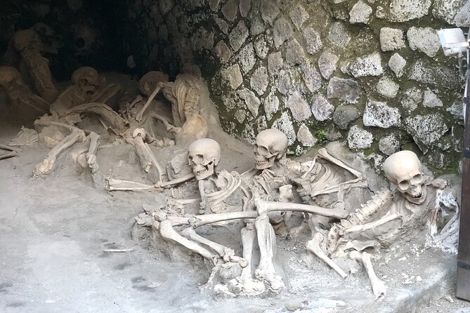 Private Tour: Pompeii Plus Herculaneum With Family Tour Option - Family-Friendly Features and Activities