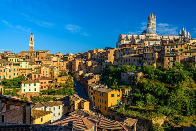 Private Tour: Secret Siena Walking Tour - Experiencing the Palio Di Siena Horse Race