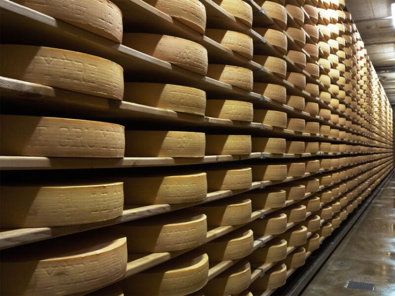 Private Tour to Gruyeres With Cheese and Chocolate Factory - Exploring the Lavaux Vineyard Terraces