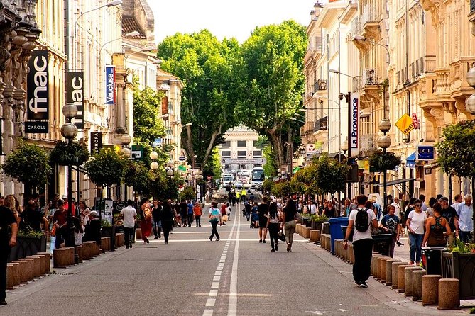 Private Transfer by Car: Marseille Airport From or to Avignon - Customer Reviews and Feedback