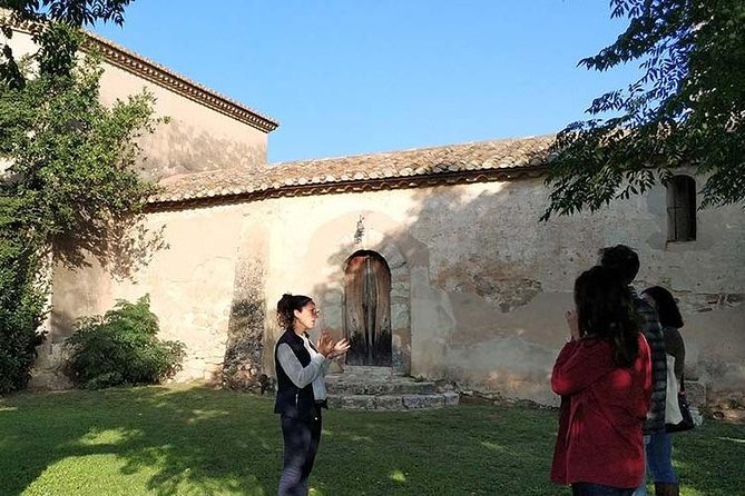 Private Wine & Cava Tasting Tour in Penedés Region With Hotel Pick up - Wine and Cava Tasting Experience