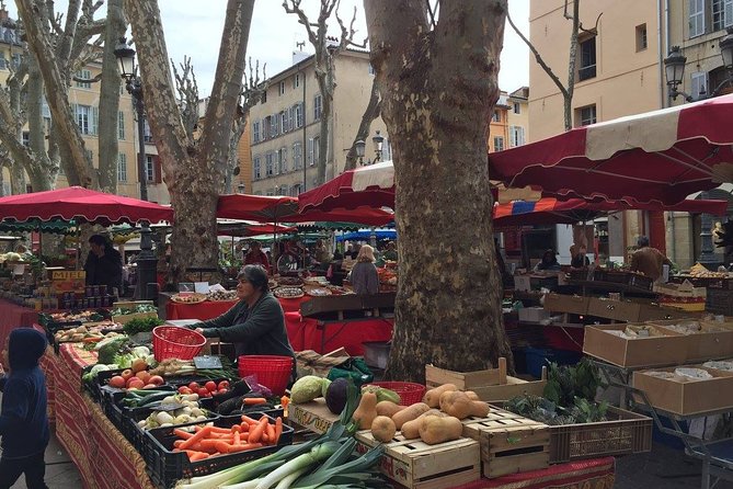 Provence Full Day Private Tour With Driver-Guide From Marseille - Notable Guides and Unique Experiences