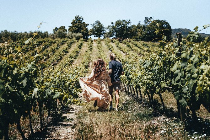 Provence Wine Tour - Small Group Tour From Nice - Customer Reviews and Feedback