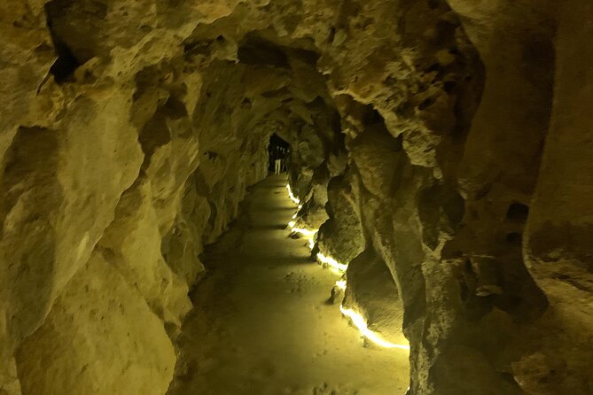 Quinta Da Regaleira and Sintra Tour Review - Positive Experiences and Standout Guides