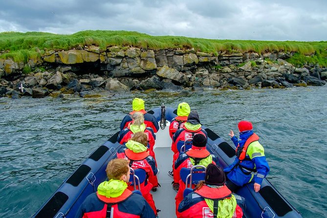Reykjavik Premium Puffin Tour | Close up and Personal - Meeting and Arrival