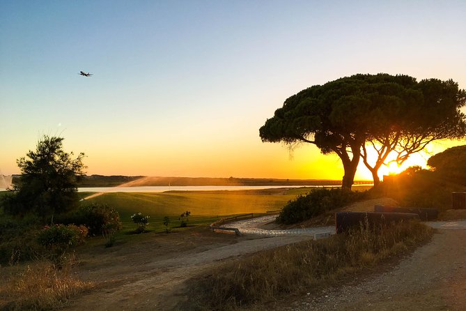 Ria Formosa Natural Park Birdwatching Segway Tour From Faro - Safety Briefing and Segway Operation