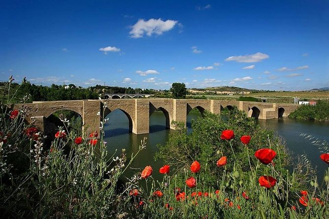 Rioja Alavesa Wineries and Medieval Villages Day Trip - Transportation and Private Guided Tour