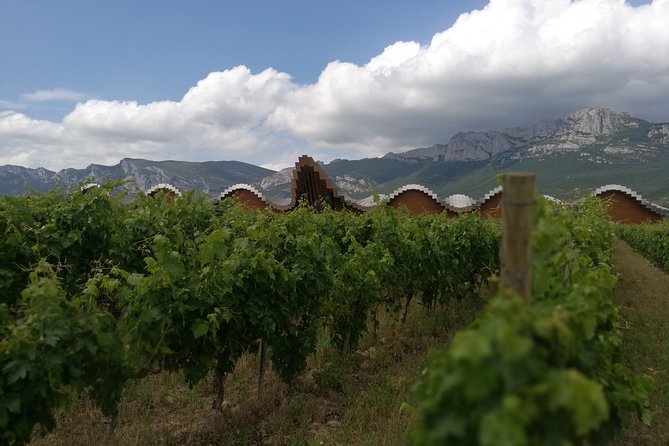 Rioja Wine Private Tour From San Sebastian - Transportation and Pickup Details