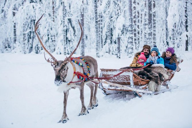 Rovaniemi Santa Claus Village Husky Reindeer Farm Arctic Museum - Reindeer Farm