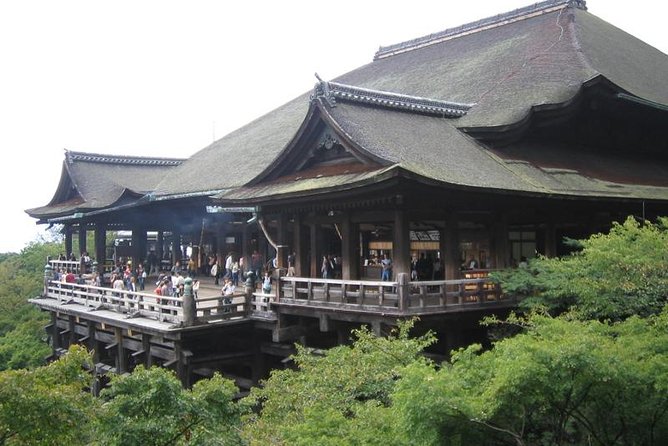Sagano Romantic Train & Arashiyama, Kiyomizudera, Fushimi Inari Taisha Day Tour - Visiting the Fushimi Inari Shrine