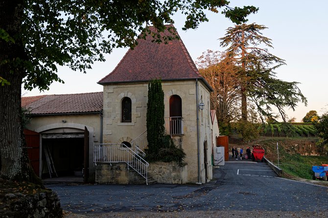 Saint-Emilion Grand Cru Classified: Visit & Tasting in French - Guided Tour Insights