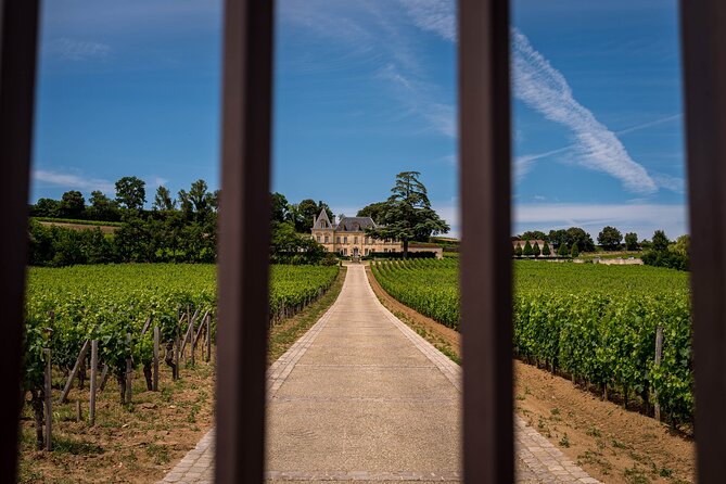 Saint-Émilion Wine Tour By Electric Bike, Lunch Included - Wine Tasting Details