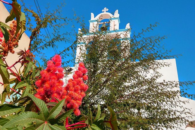 Santorini Day Tour With Sunset in Oia - Pickup and Meeting Details