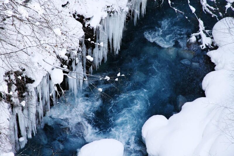 Sapporo: Asahikawa Zoo, Shirahige Falls, Ningle Terrace Tour - Important Information