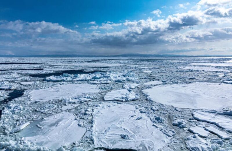 Sapporo: Icebreaker GARINKO GO III Cruise Ice and Snow Trip - Dining Options