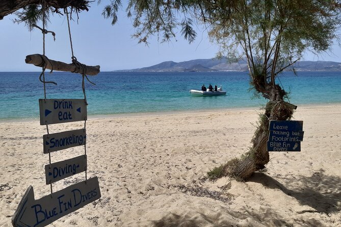 Scuba Diving in Naxos by Bluefindivers - Dive in Greece - Amazing Diving Spots - Accessibility and Participation Guidelines