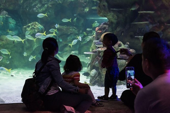 SEA LIFE Brighton Admission Ticket - Sea Life Conservation and Education