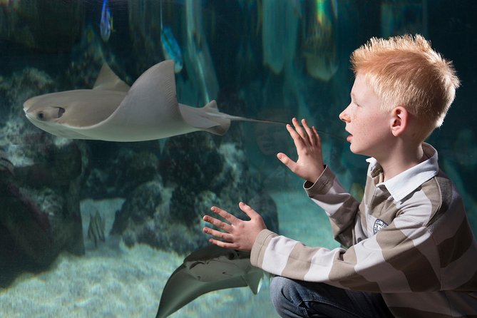 SEA LIFE Hannover Ticket Incl. Animal Crossing Event - Animal Crossing Event