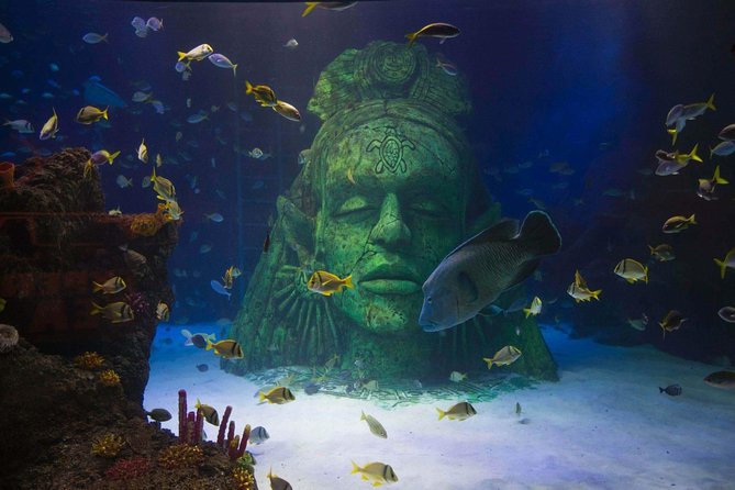 SEA LIFE Manchester Admission Ticket - Accessibility and Inclusive Features
