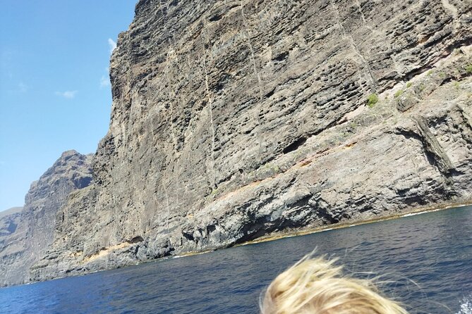 SEA SAFARI Dolphins, Whales, 3h Speedboat DISCOVERY-TOUR - Meeting Point and Logistics