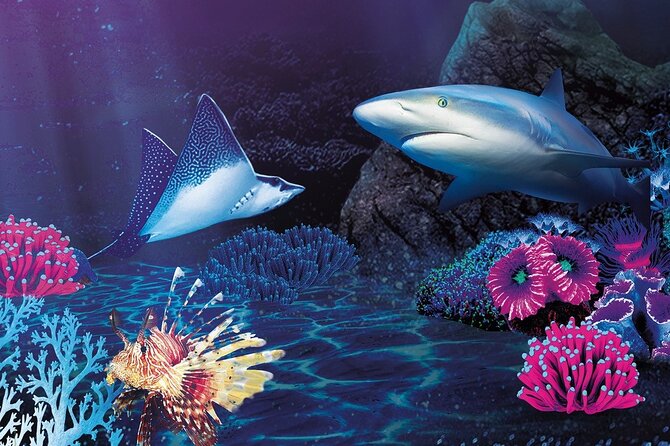 Sealife Benalmadena Entrance Ticket - Interactive Rockpool Experience