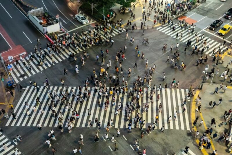 Shibuya & Harajuku: Hidden Gems & Highlights Private Tour - Unique Cafés and Culinary Discoveries