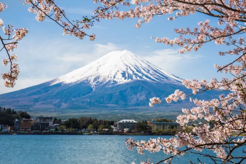 Sightseeing Day Trip to Mount Fuji and Hakone Green Number - Customized Experiences