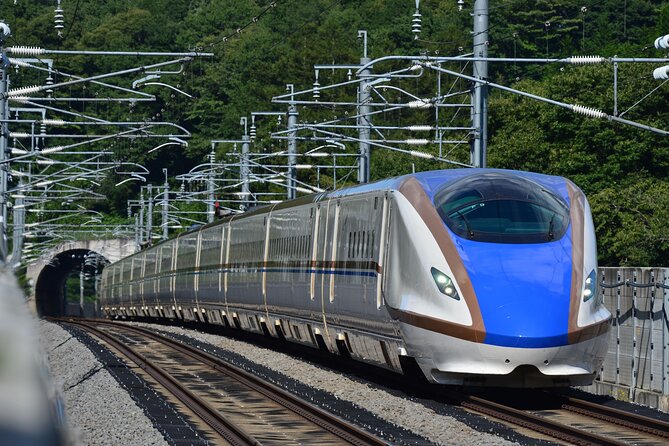 Ski Resort GALA Yuzawa Tickets & Shinkansen Bullet Train Tickets - Accessibility and Participation