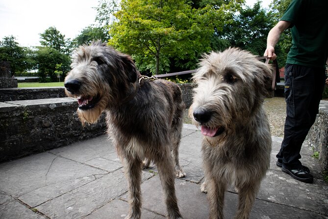 Skip the Line: Bunratty Castle and Folk Park Admission Ticket - Additional Information