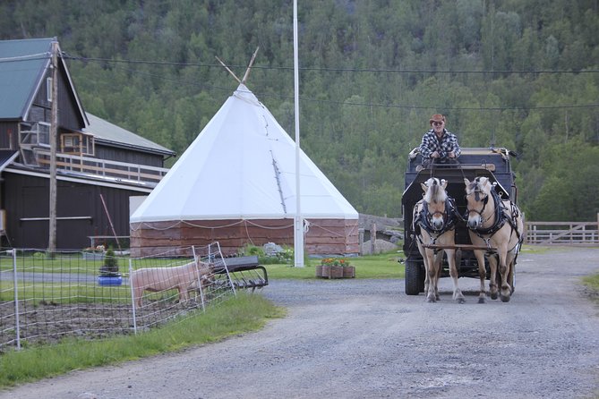 Sleigh Ride W/ Snacks - Experience Arctic Farm Life - Transportation and Accessibility