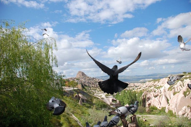 Small Group Cappadocia Tour - Health and Accessibility Information