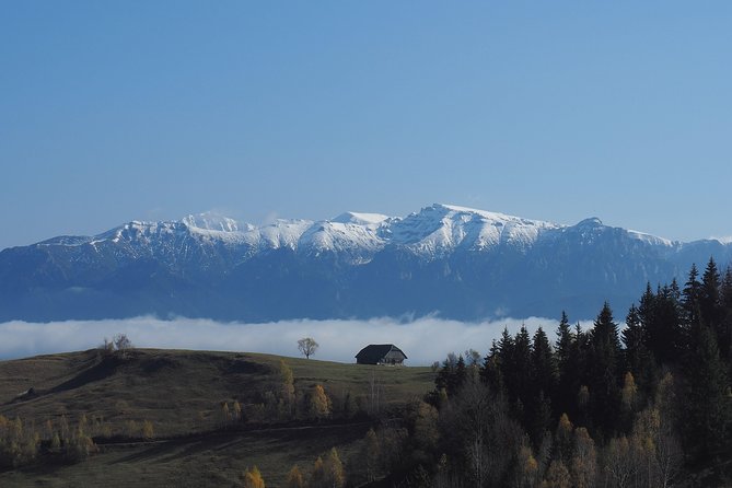 Small-Group Day Trip in Romanian Authentic Mountain Villages From Brasov - Reviews and Feedback