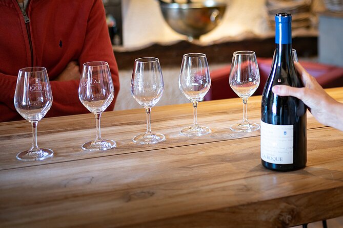 Small-Group Half-Day Languedoc Pic Saint-Loup Wine Tour From Montpellier - Guide Performance and Feedback