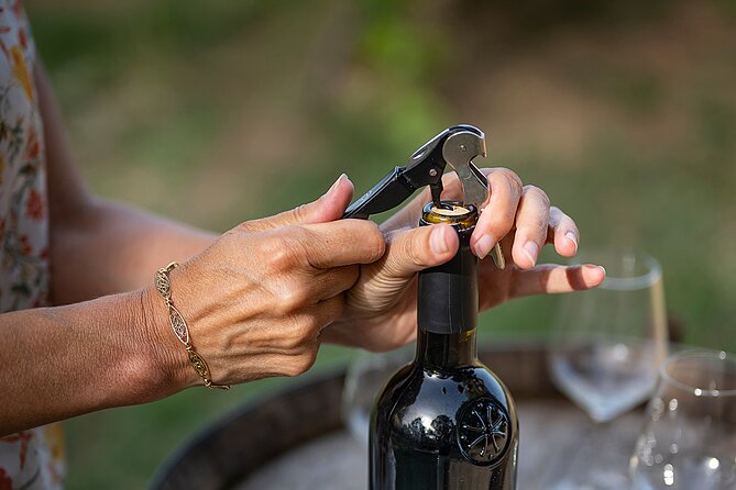 Small-Group Half-Day Languedoc Wine and Olive Tour From Montpellier - The Delights of Olive Oil and Olive Tasting