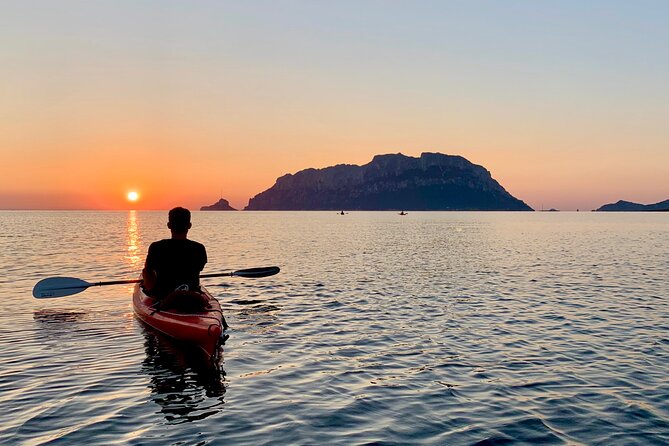 Small Group Sunrise Kayak Tour With Snorkeling and Coffee - Understanding the Role of Your Tour Guides