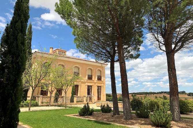 Small Group Tour - Ribera Del Duero Super Taster With Lunch - Guided Experience and Expertise