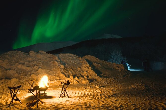Small Northern Lights Tour Max5 Guests PRO Photographer Included - Flexible Pickup and Drop-off Options