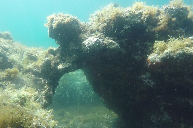 Snorkeling Among the Underwater Caves of Ischia Ponte - Cancellation Policy and Flexibility